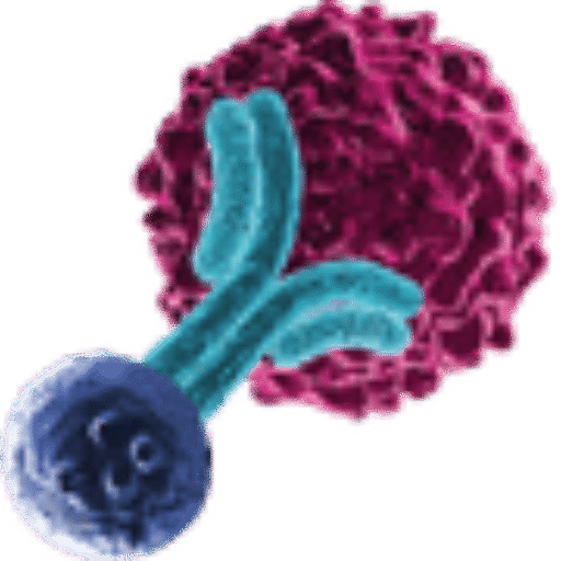 Unlocking Intracellular Targets Through Synapse-Optimised T cell ...
